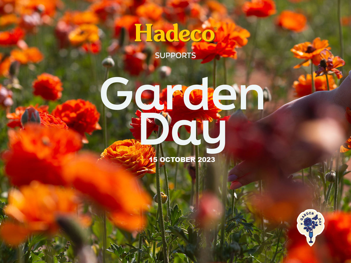50 Wholesome Ways To Celebrate Garden Day — Hadeco.co.za