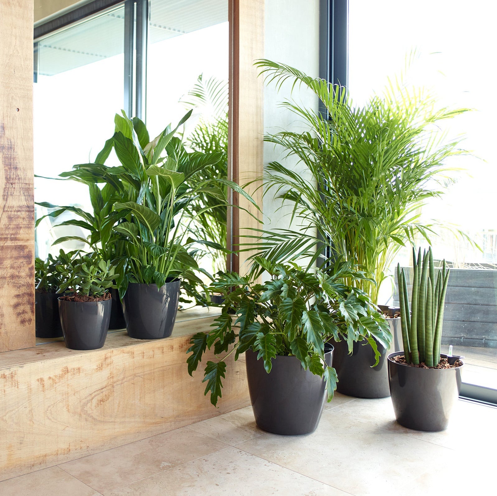 Pots & Vases — Hadeco.co.za