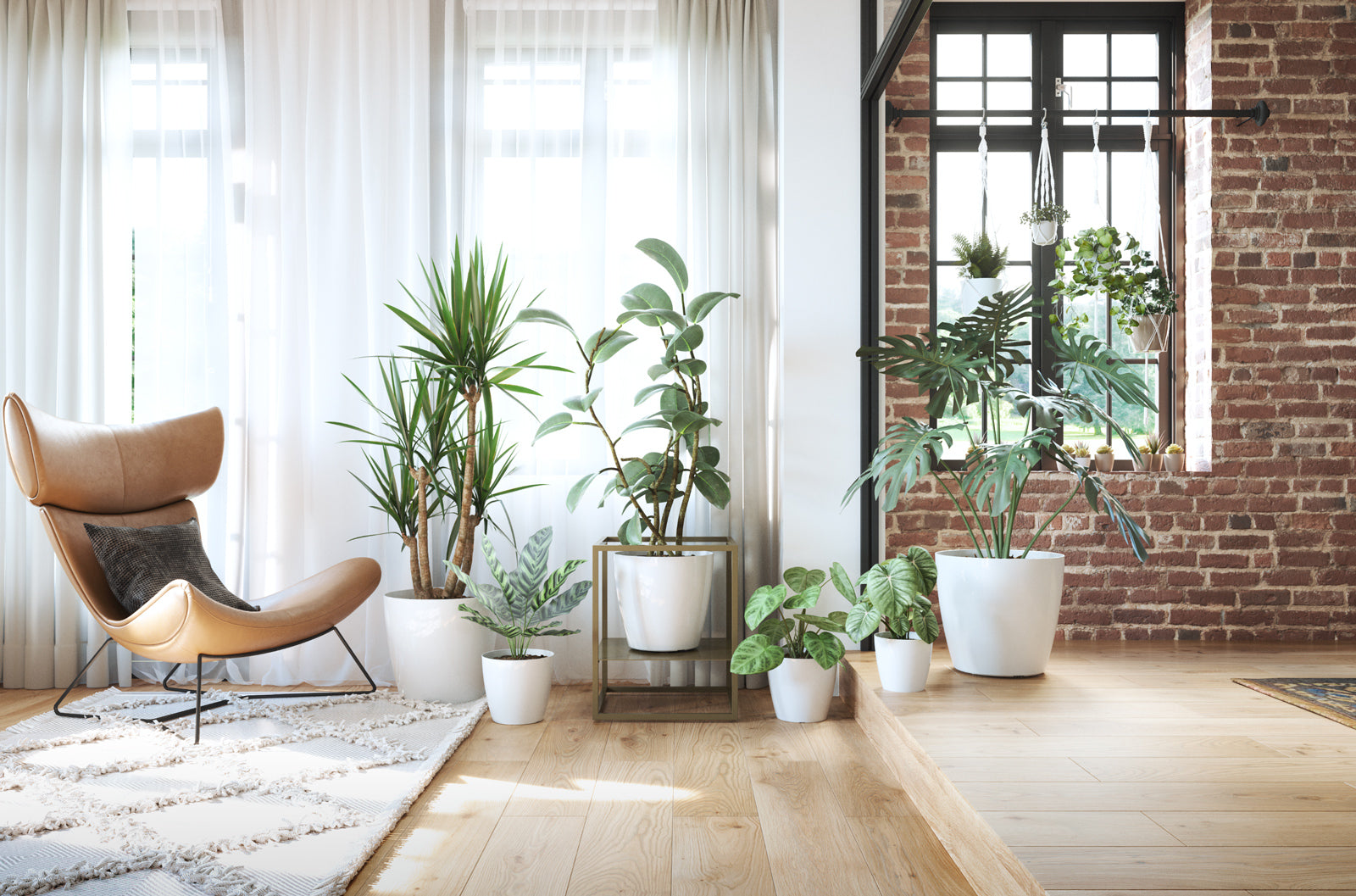 Nubia Pot - Various Sizes & Colours — Hadeco.co.za