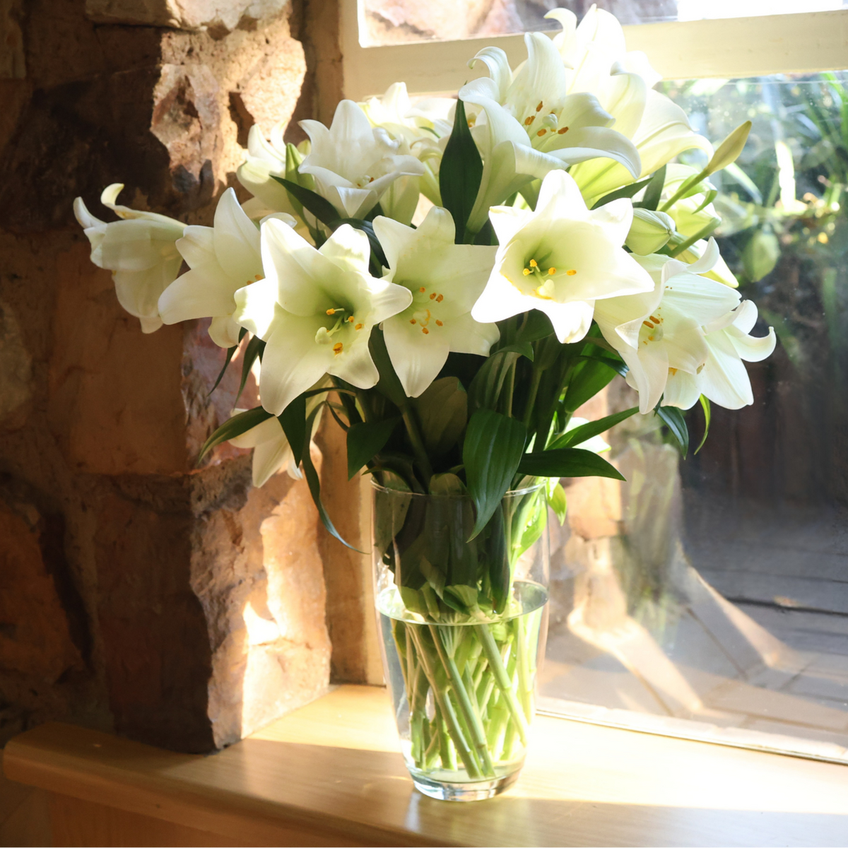 Cut Flowers - 20 lily stems with foliage — Hadeco.co.za