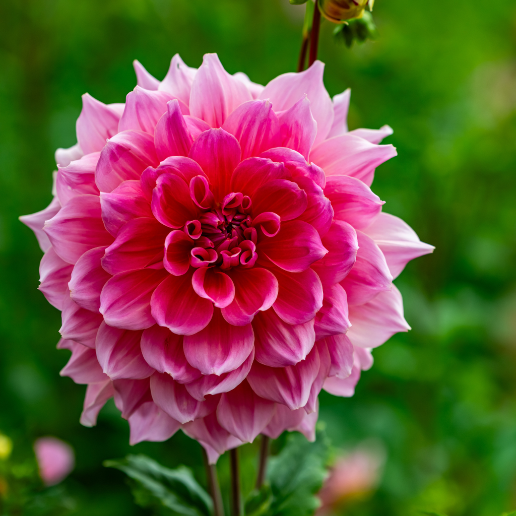 Available now — Hadeco.co.za