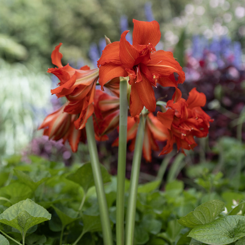 Available now — Hadeco.co.za