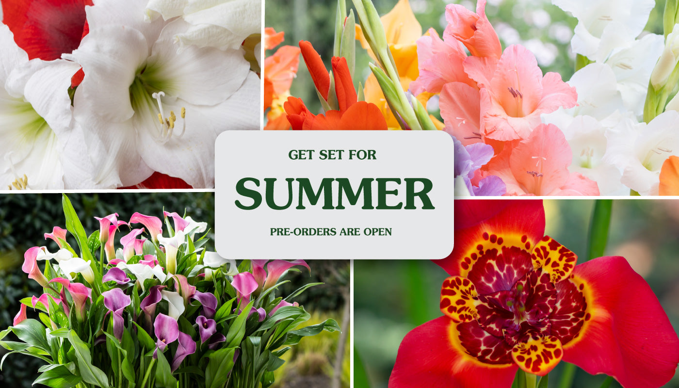 Hadeco.co.za, your blooming gardening journey starts here.