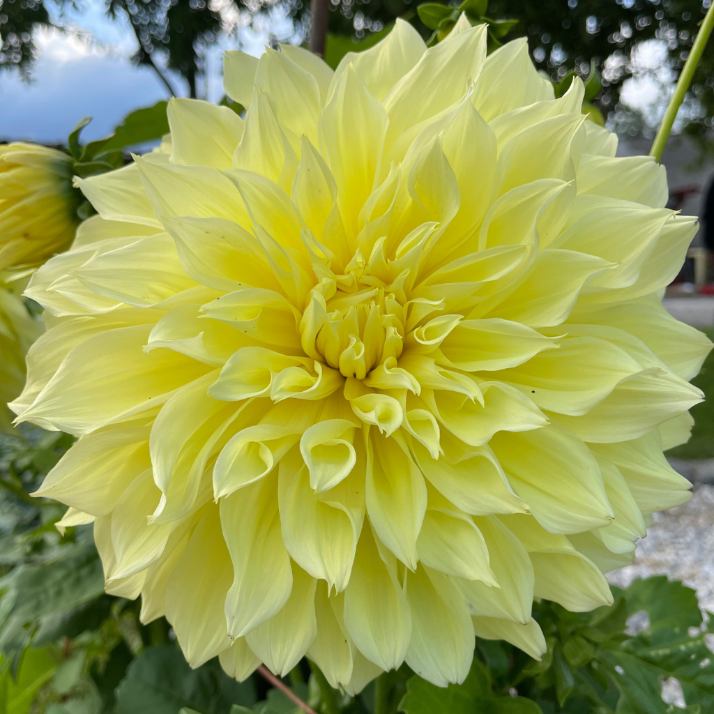 Available now — Hadeco.co.za