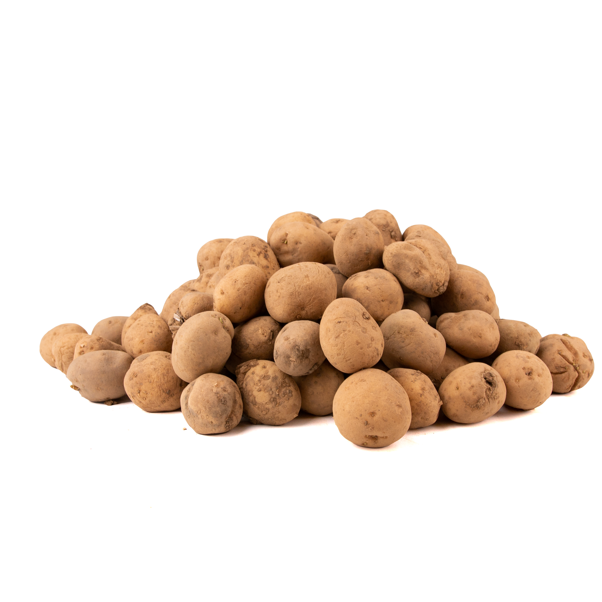 Seed Potatoes — Hadeco.co.za