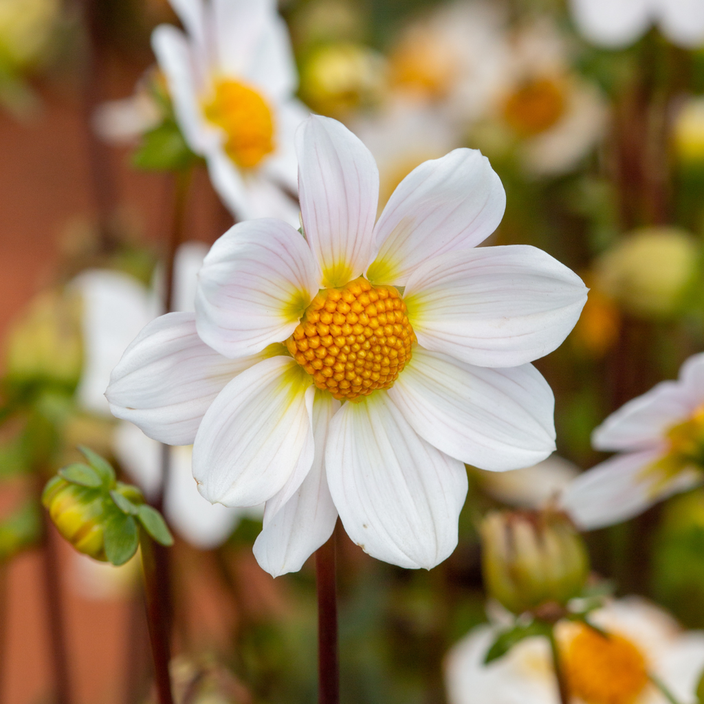 Available now — Hadeco.co.za