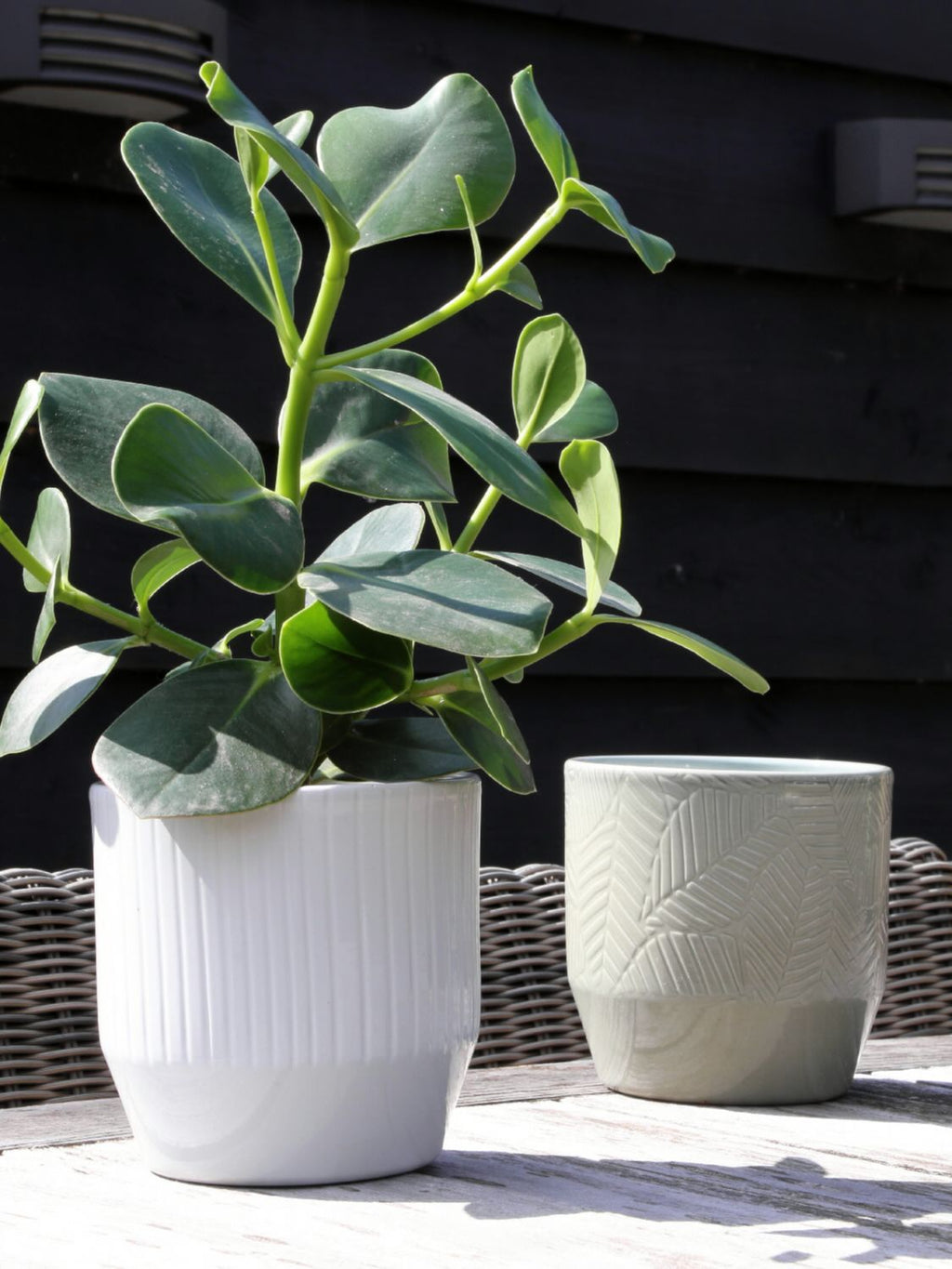 Ceramics — Hadeco.co.za