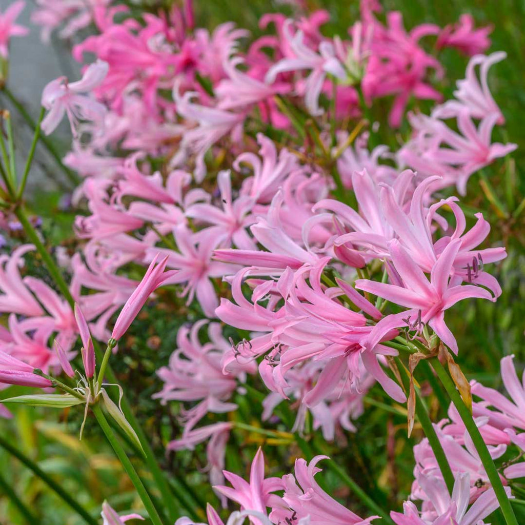 Products — Hadeco.co.za