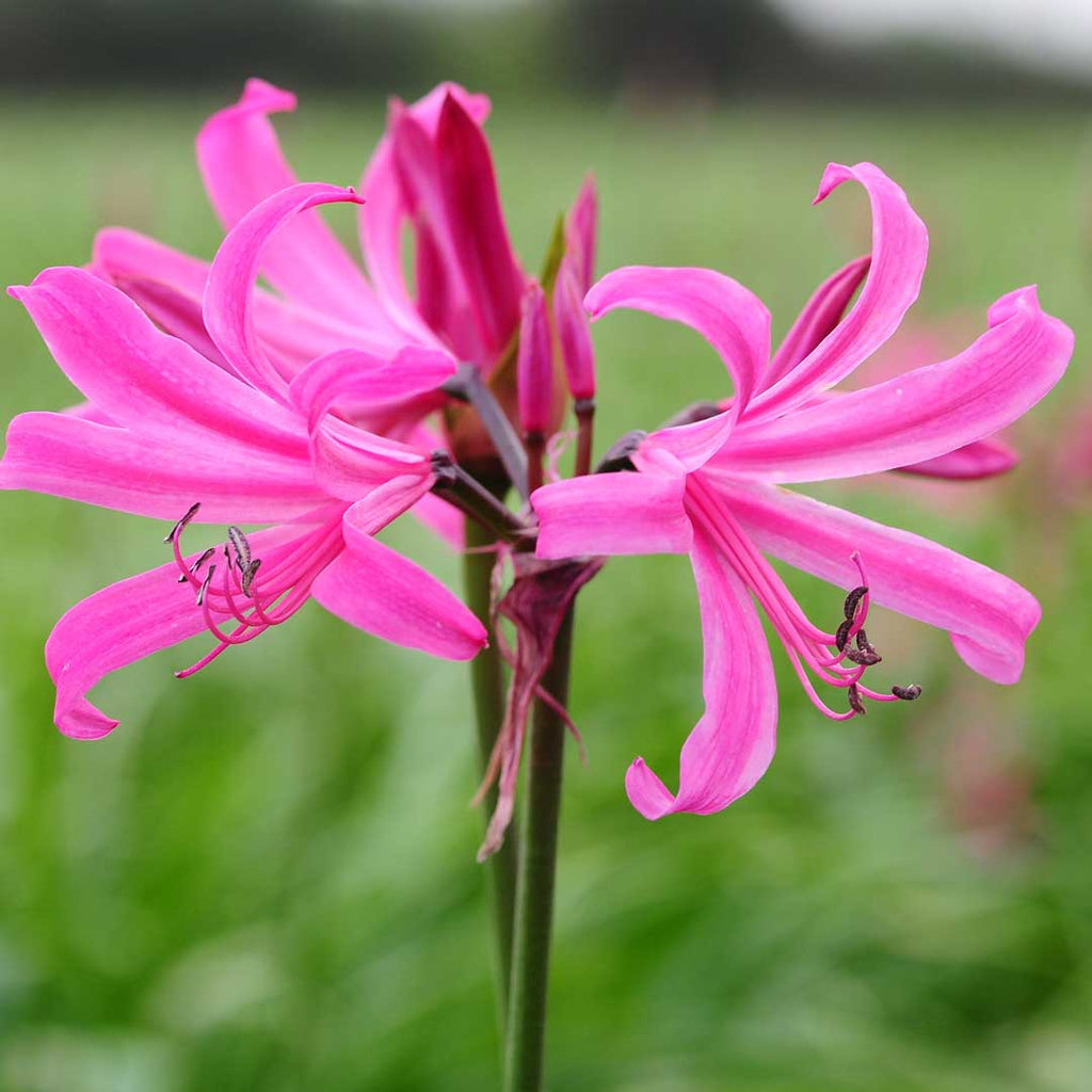 Products — Hadeco.co.za