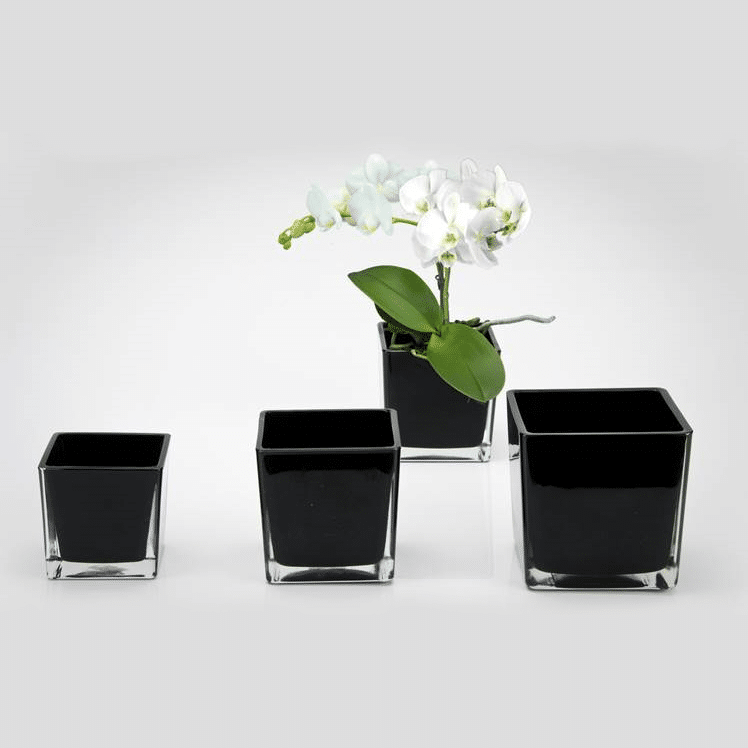 Cubic Glass Pot - Black (Various sizes) — Hadeco.co.za