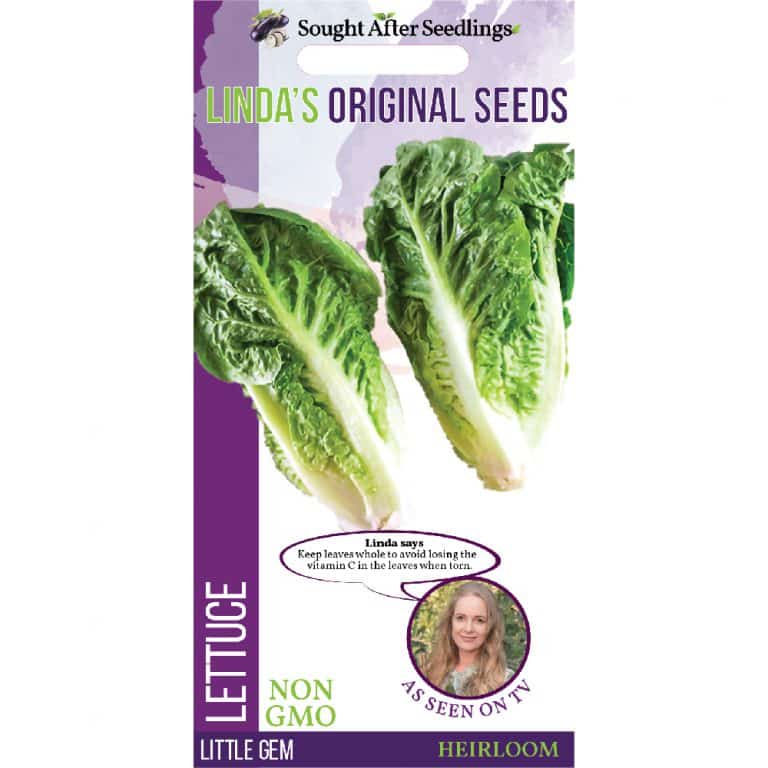 Vegetable Seeds — Hadeco.co.za