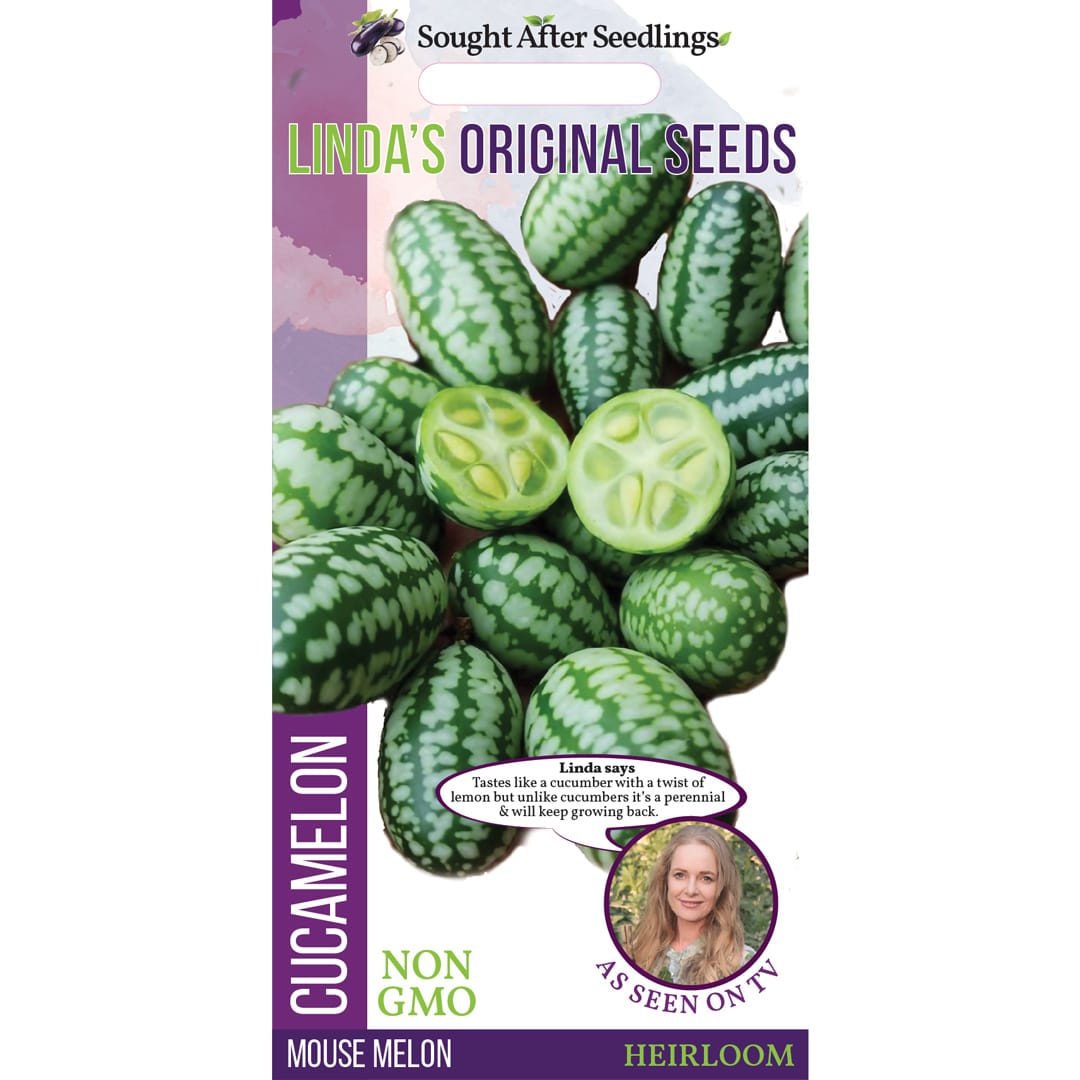 Cucamelon - Mouse Melon — Hadeco.co.za